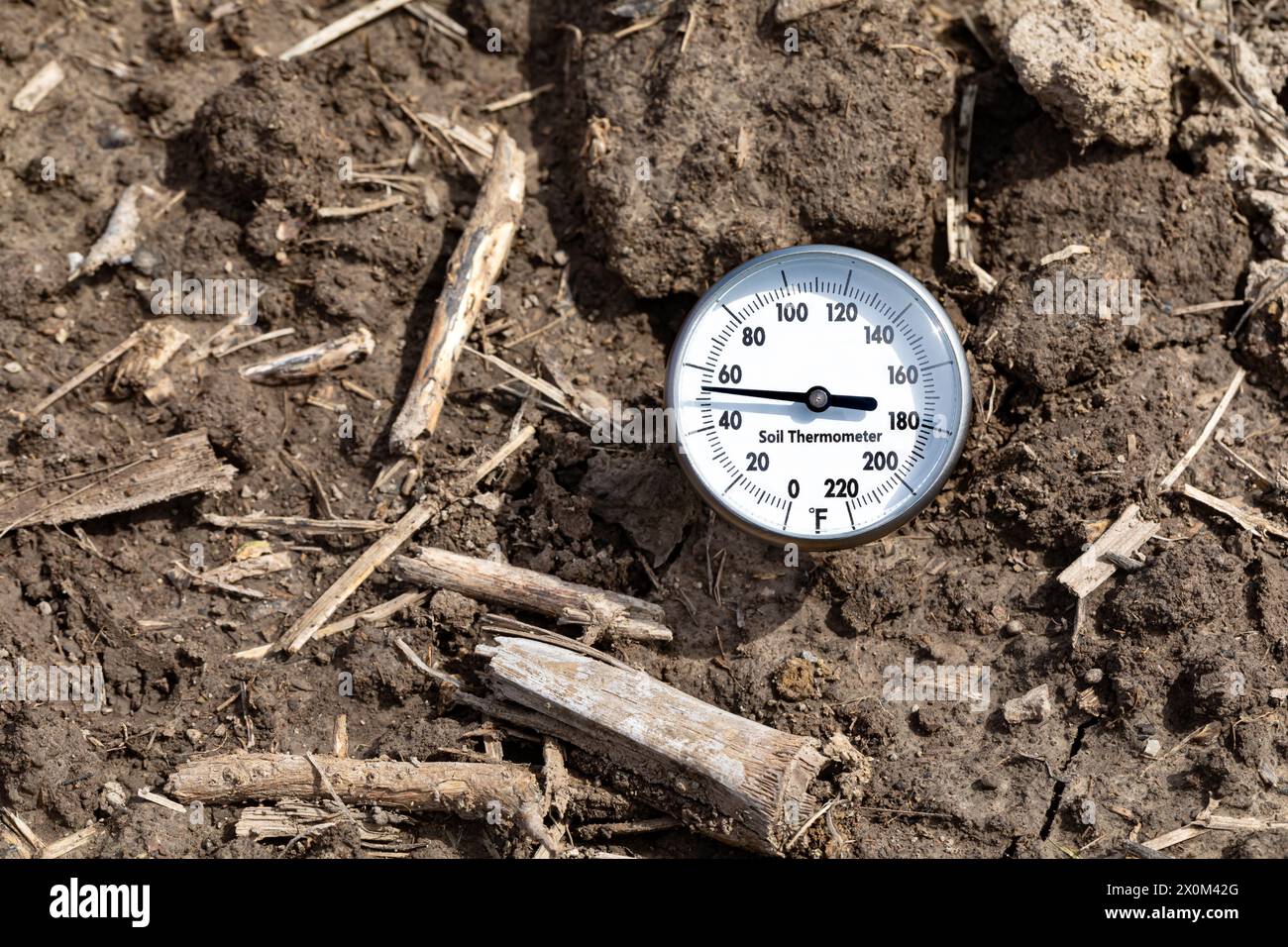 Soil thermometer in soil of farm field. Soil temperature, planting ...
