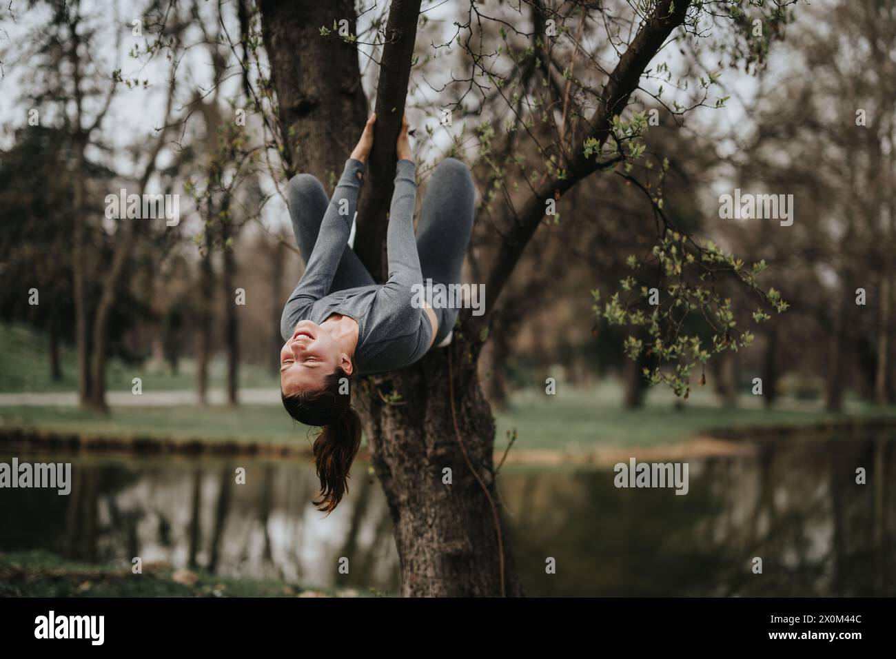Athletic woman performing an inverted hang on a tree branch outdoors ...