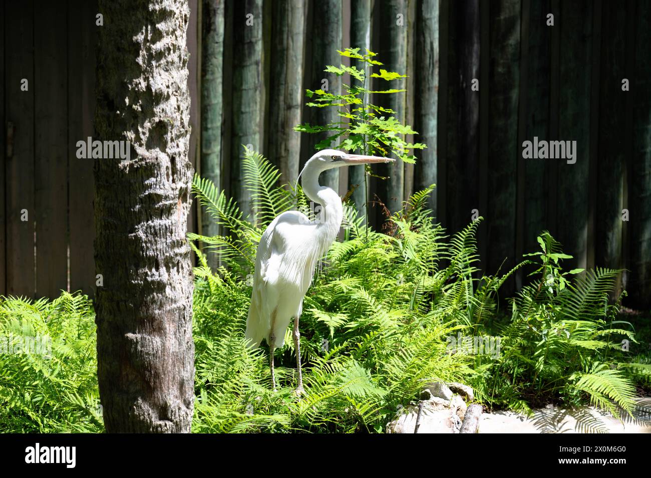 Crimson springs hi-res stock photography and images - Alamy