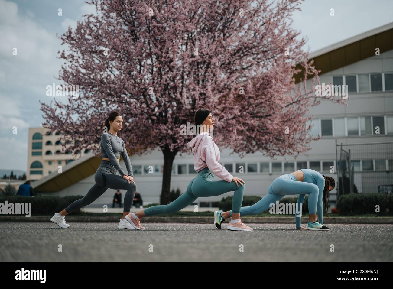 Group performing yoga exercises hi-res stock photography and images - Alamy