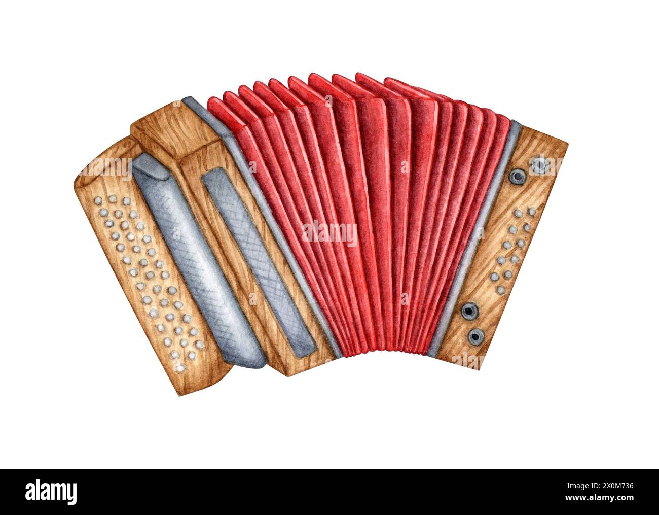 Watercolor illustration of an accordion, a harmonic musical instrument ...