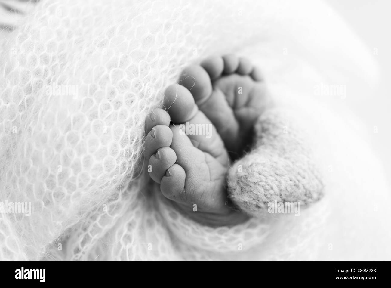 The tiny foot of a newborn baby. Soft feet of a new born in a wool ...