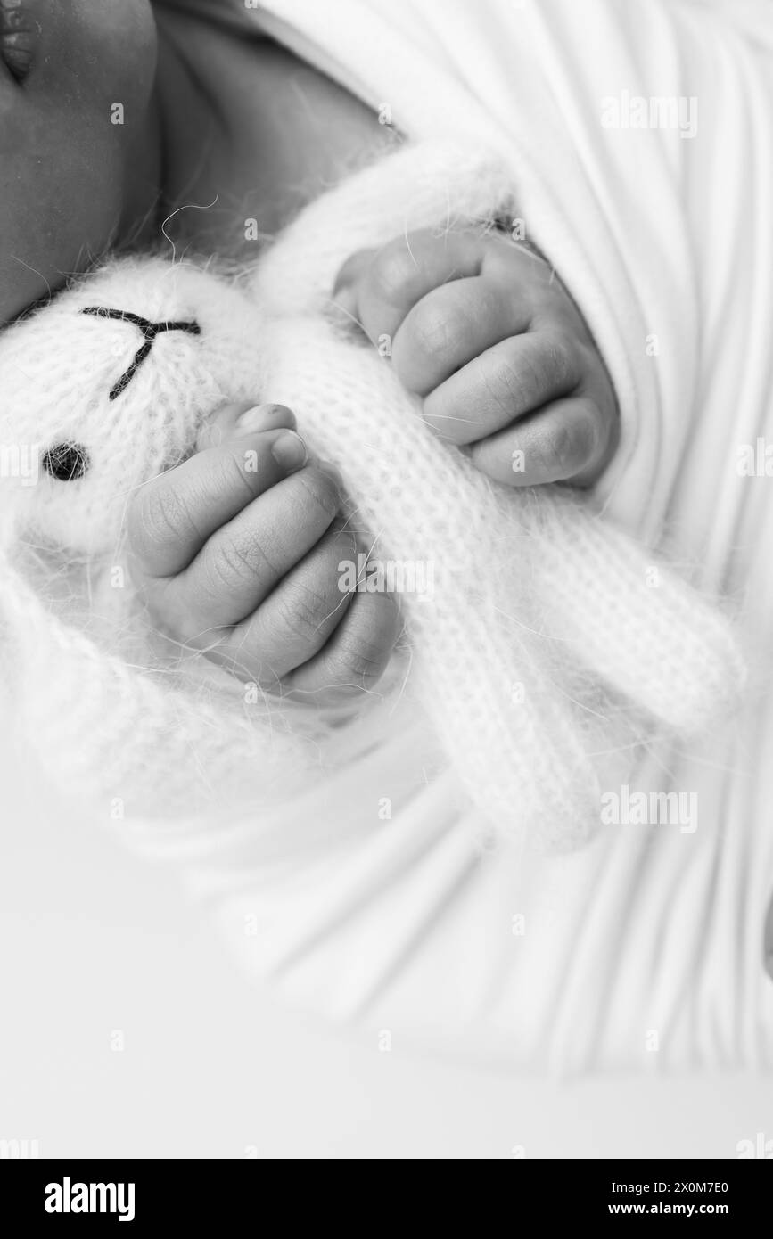 Portrait of a newborn one week old baby with a cute soft toy plush ...