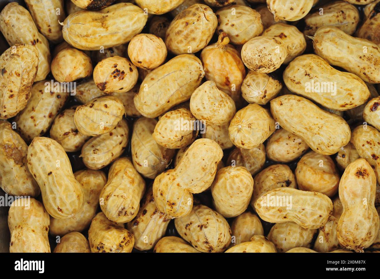 Peanut trees hi-res stock photography and images - Alamy