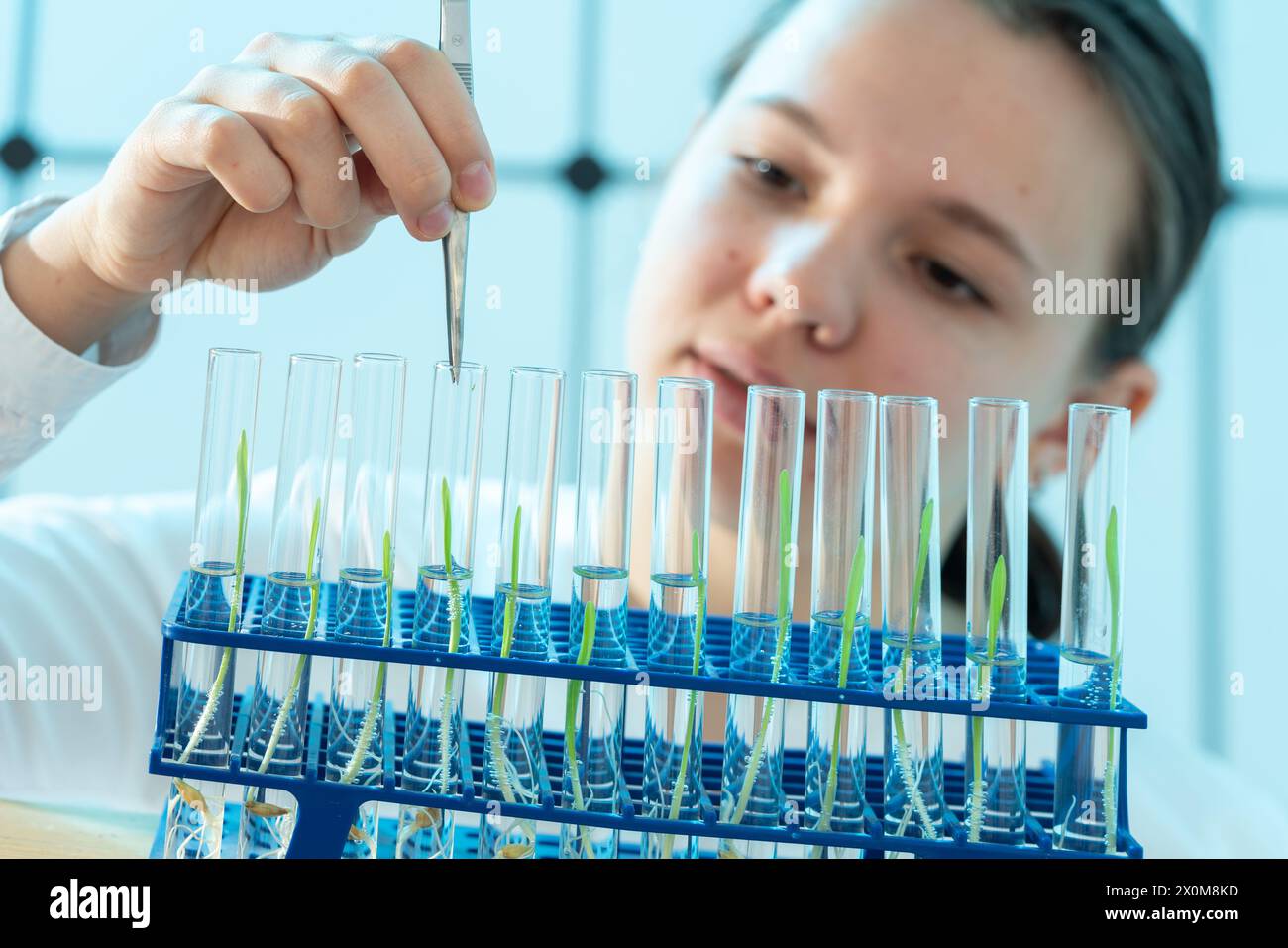 Student in biology lesson Stock Photo - Alamy
