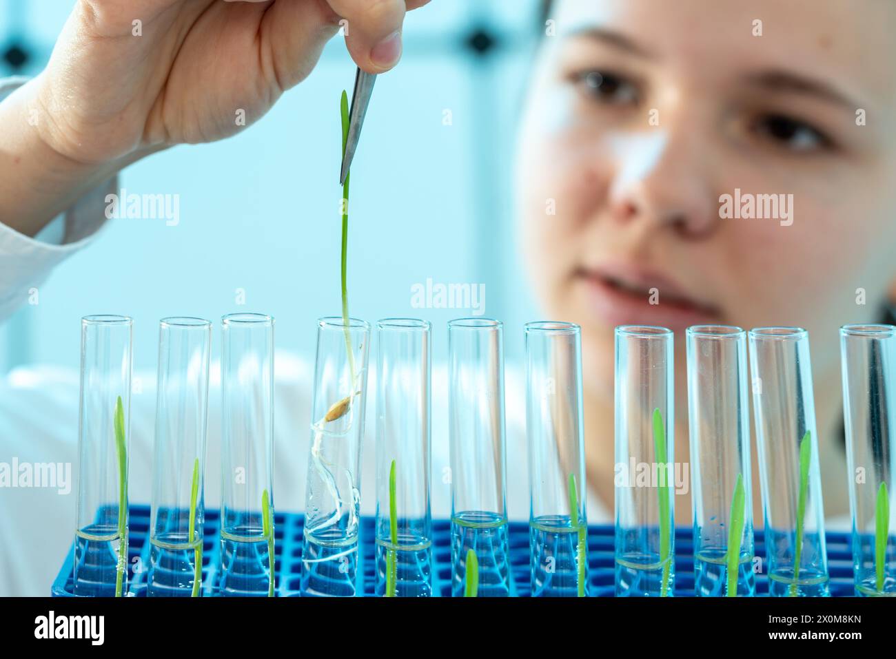 Biology lesson hi-res stock photography and images - Alamy
