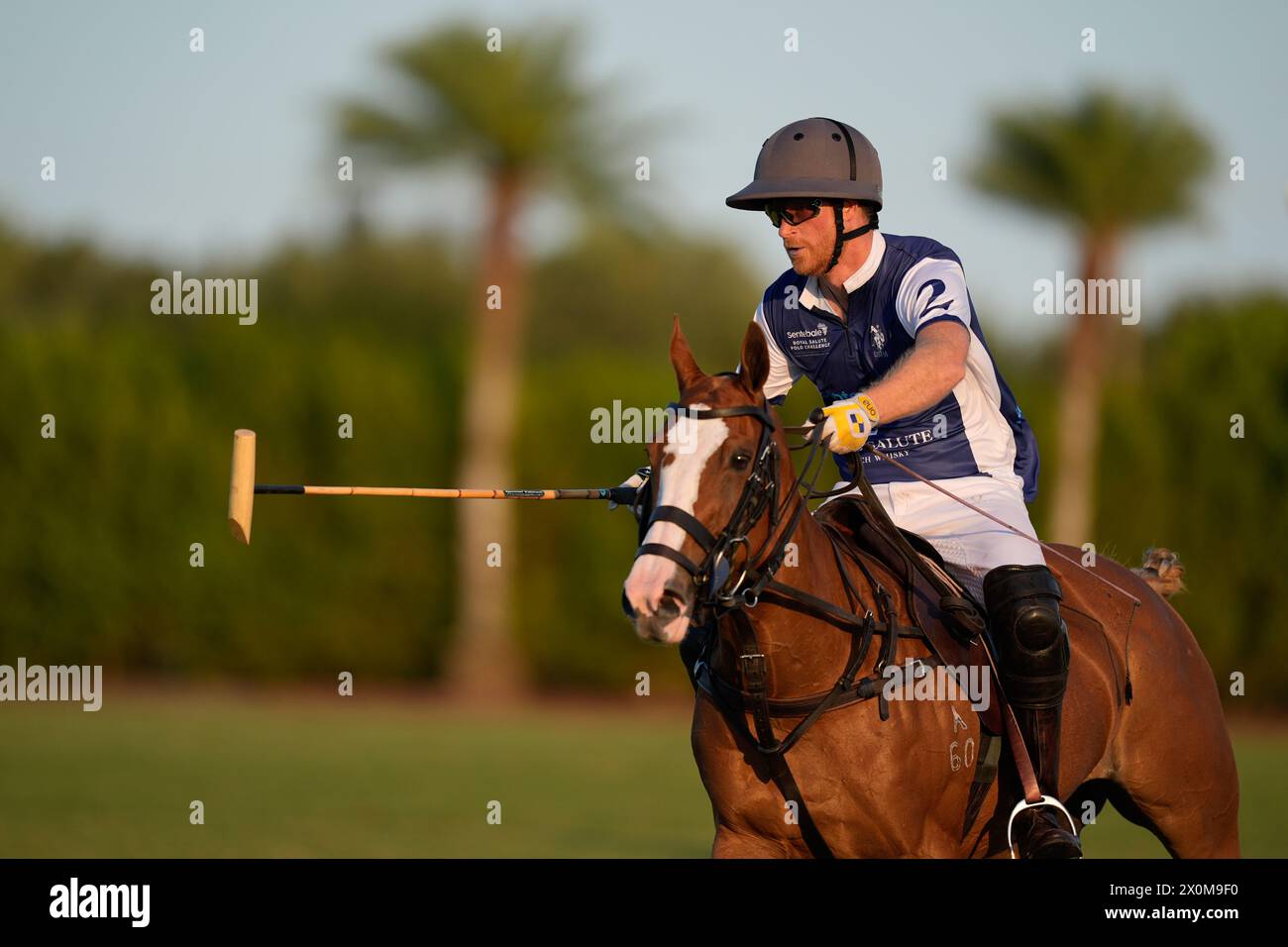 Britain's Prince Harry plays in the Royal Salute Polo Challenge to Benefit Sentebale, Friday ...