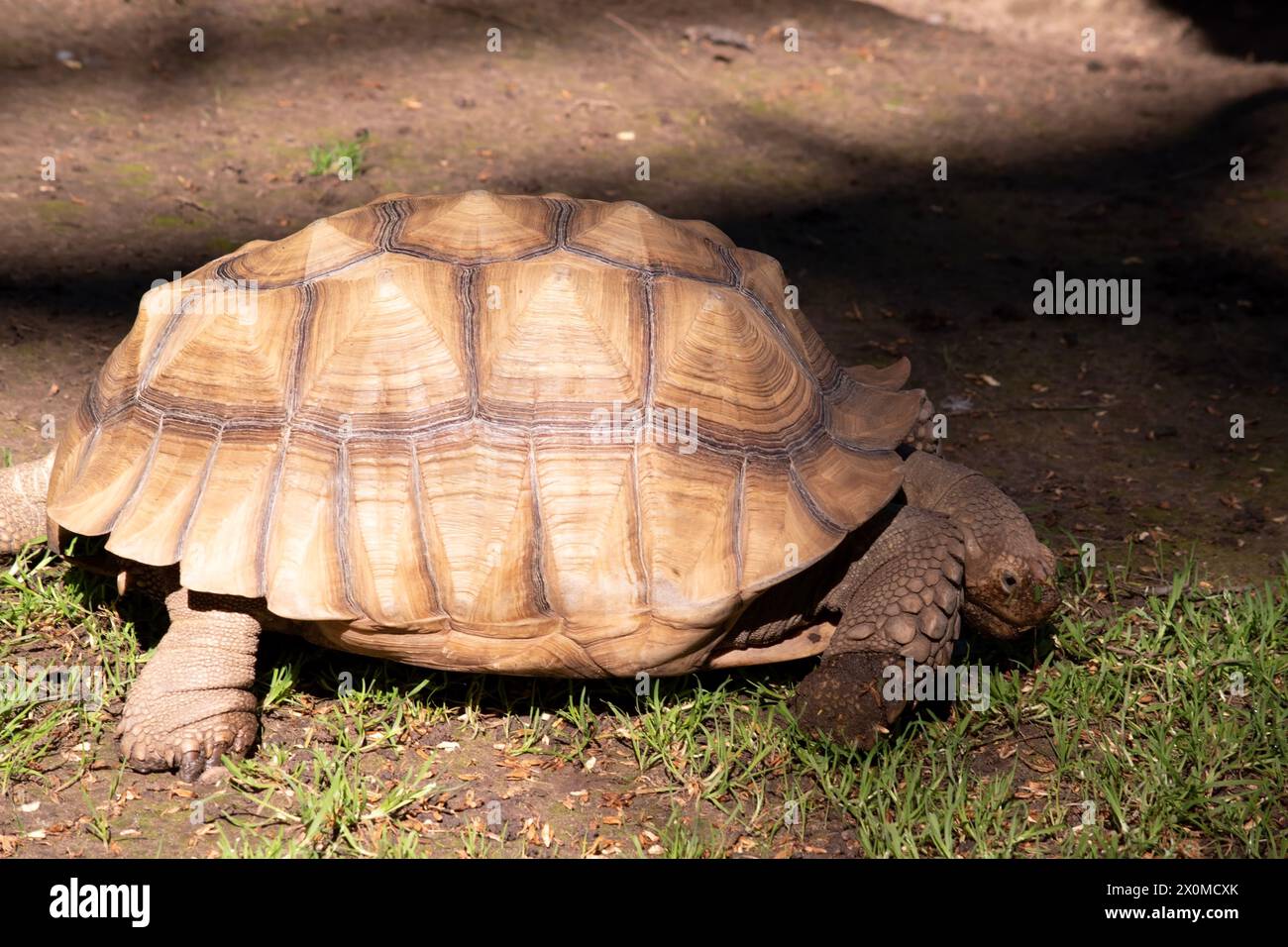 Worlds largest land hi-res stock photography and images - Alamy