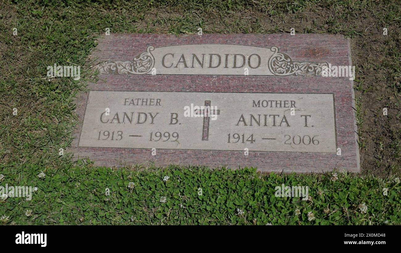 Mission Hills, Los Angeles, California, USA 11th April 2024 Voice Actor ...