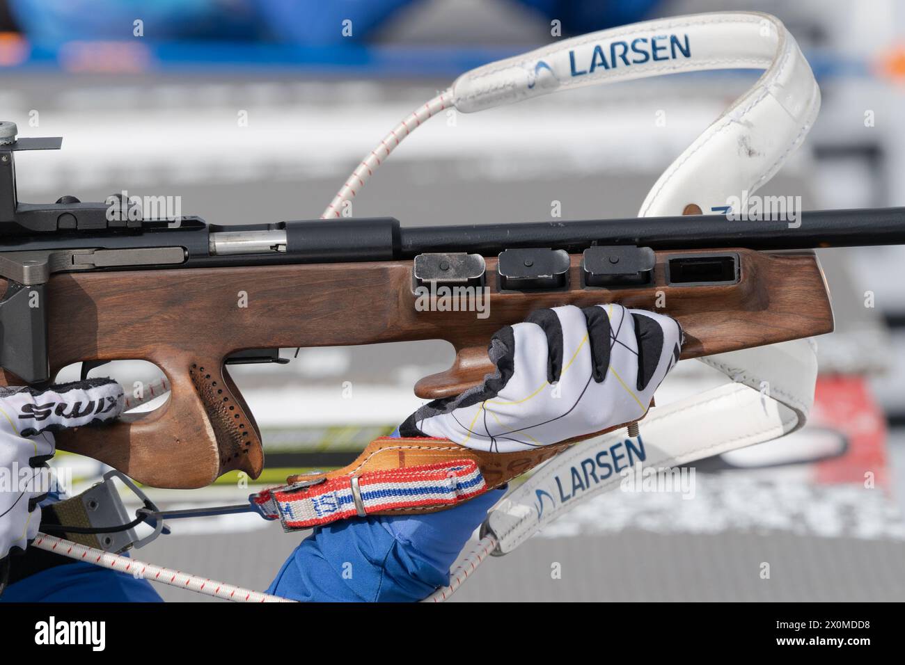 Sportswoman biathlete rifle shooting in prone position. Selective focus ...