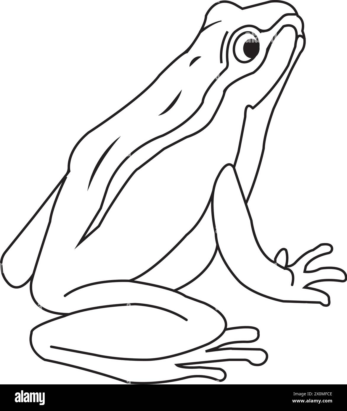 Frog icon vector illustration logo design template Stock Vector Image ...