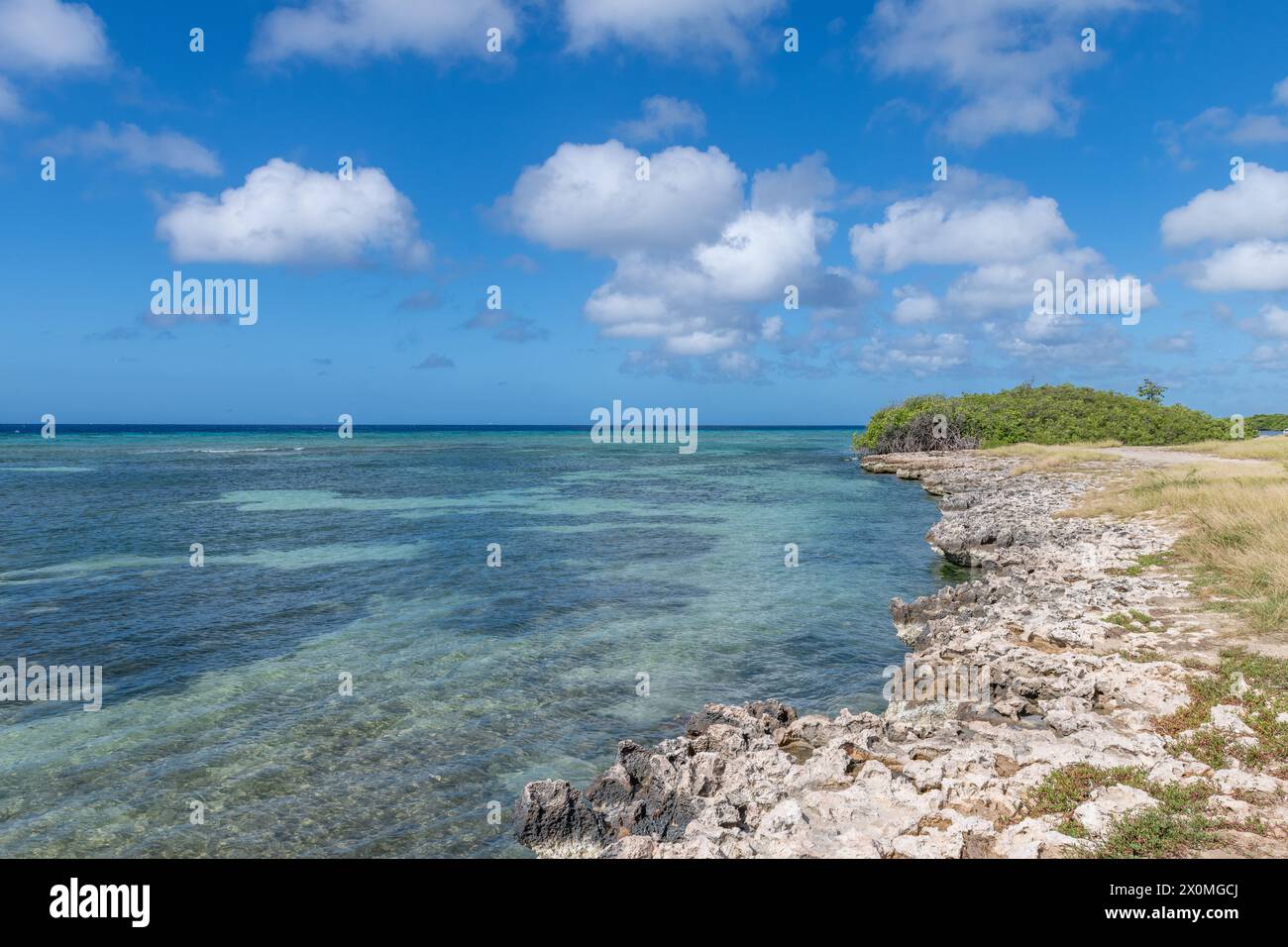 Aruba coastline looking north at Mangle Halto Stock Photo - Alamy