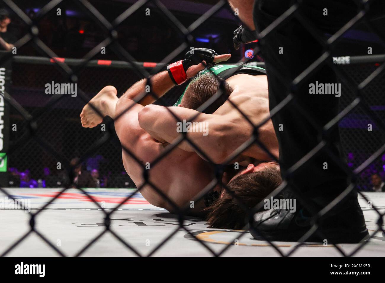 2024 0130 jpg hi-res stock photography and images - Alamy