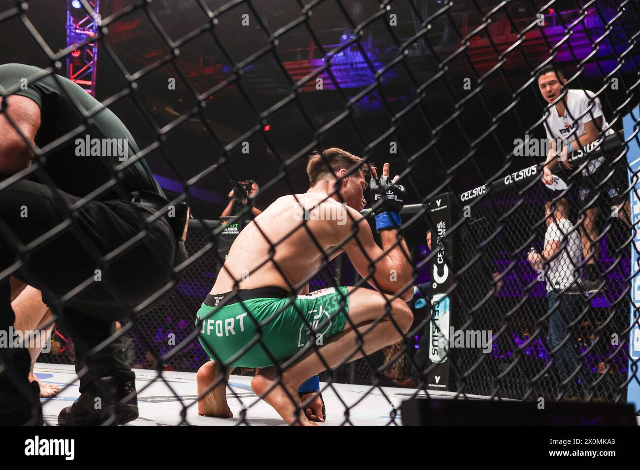 Karate combat lightweight hi-res stock photography and images - Alamy