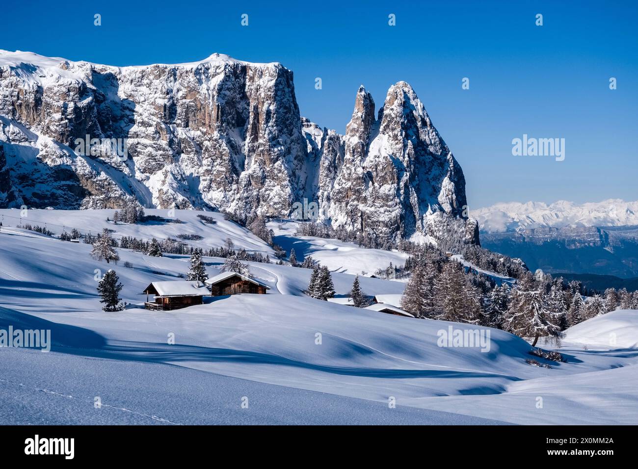 Hilly agricultural countryside with snow-covered pastures, trees and ...