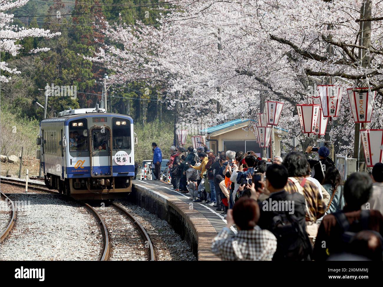 A Noto Railway arrives at Noto-Kashima Station with cherry blossoms at ...