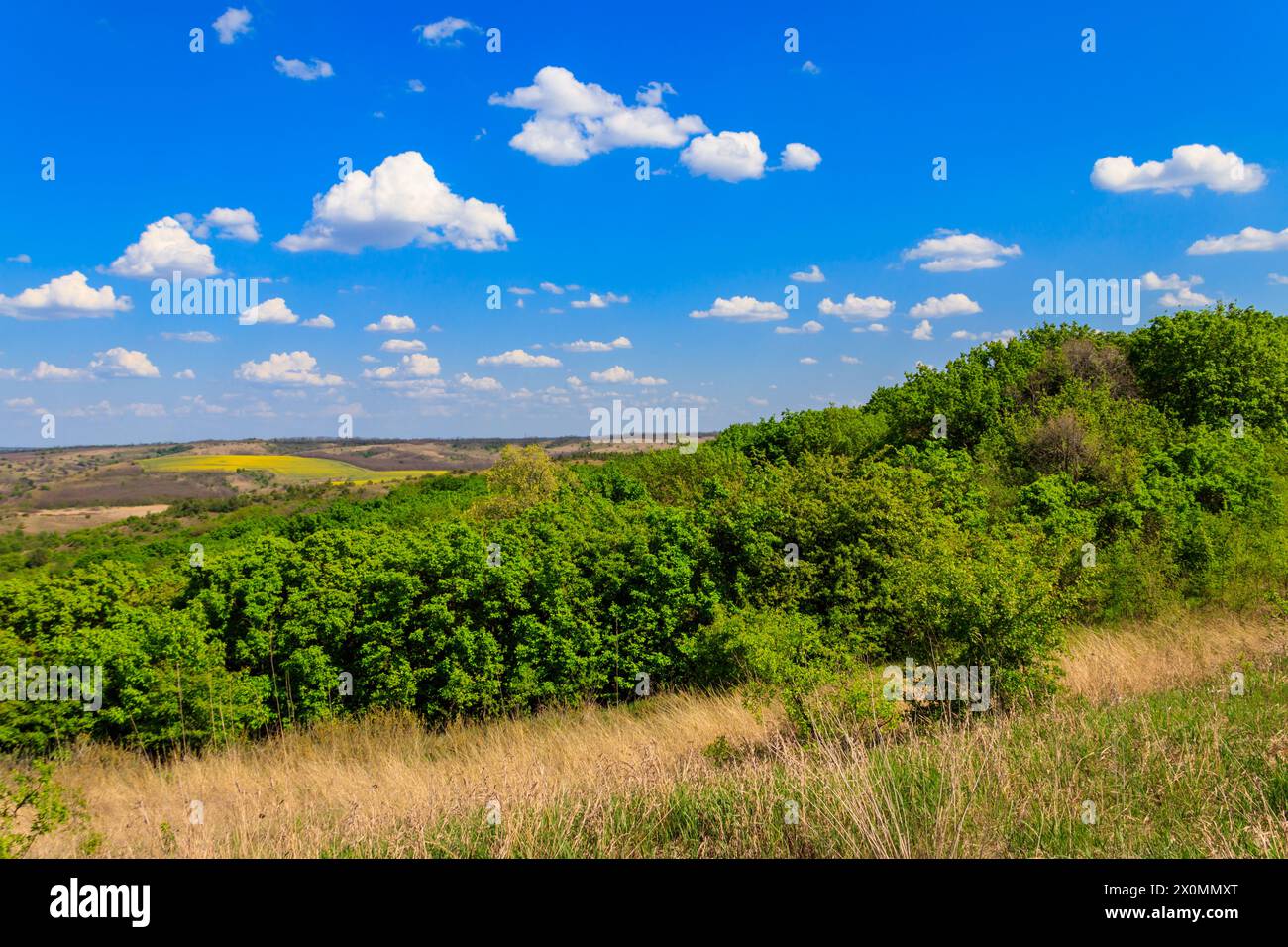 Fields spring blue sky hi-res stock photography and images - Alamy