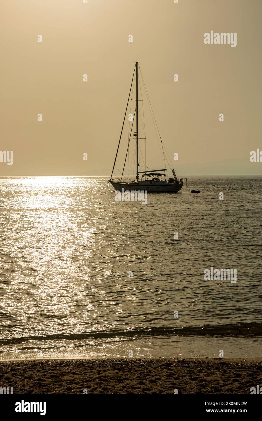 Small boats and yachts at sunset docked on the marina park with ...