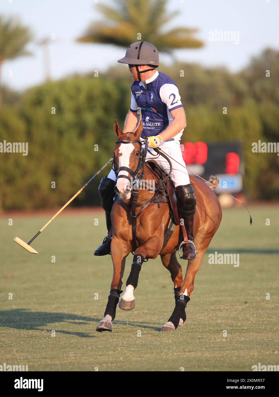The Duke of Sussex plays in a polo match during the Royal Salute Polo Challenge, to benefit ...