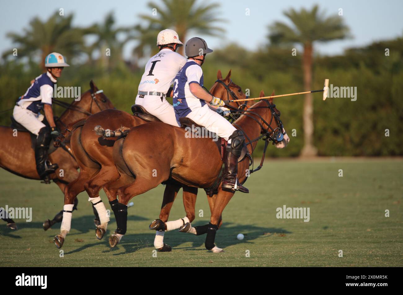 The Duke of Sussex plays in a polo match during the Royal Salute Polo ...