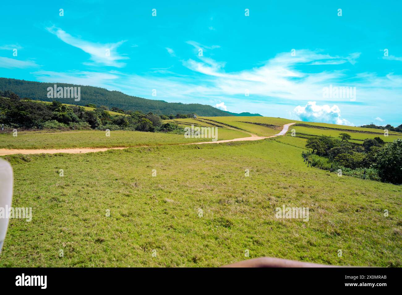 beautiful grass way of Moon Plains Sri Lanka Nuwara Eliya Sri lanka ...
