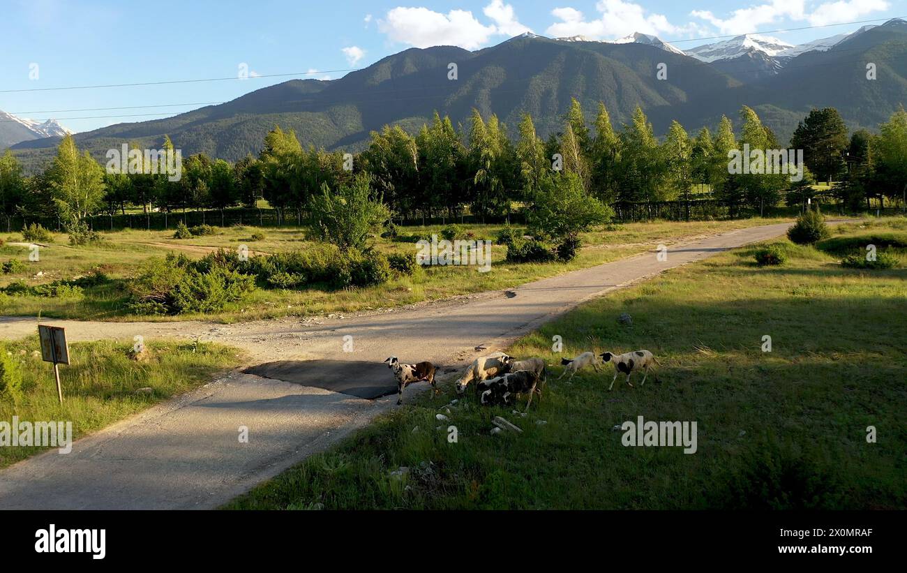 Amazing Aerial view of Pirin Mountain near city of Razlog, Bulgaria in ...