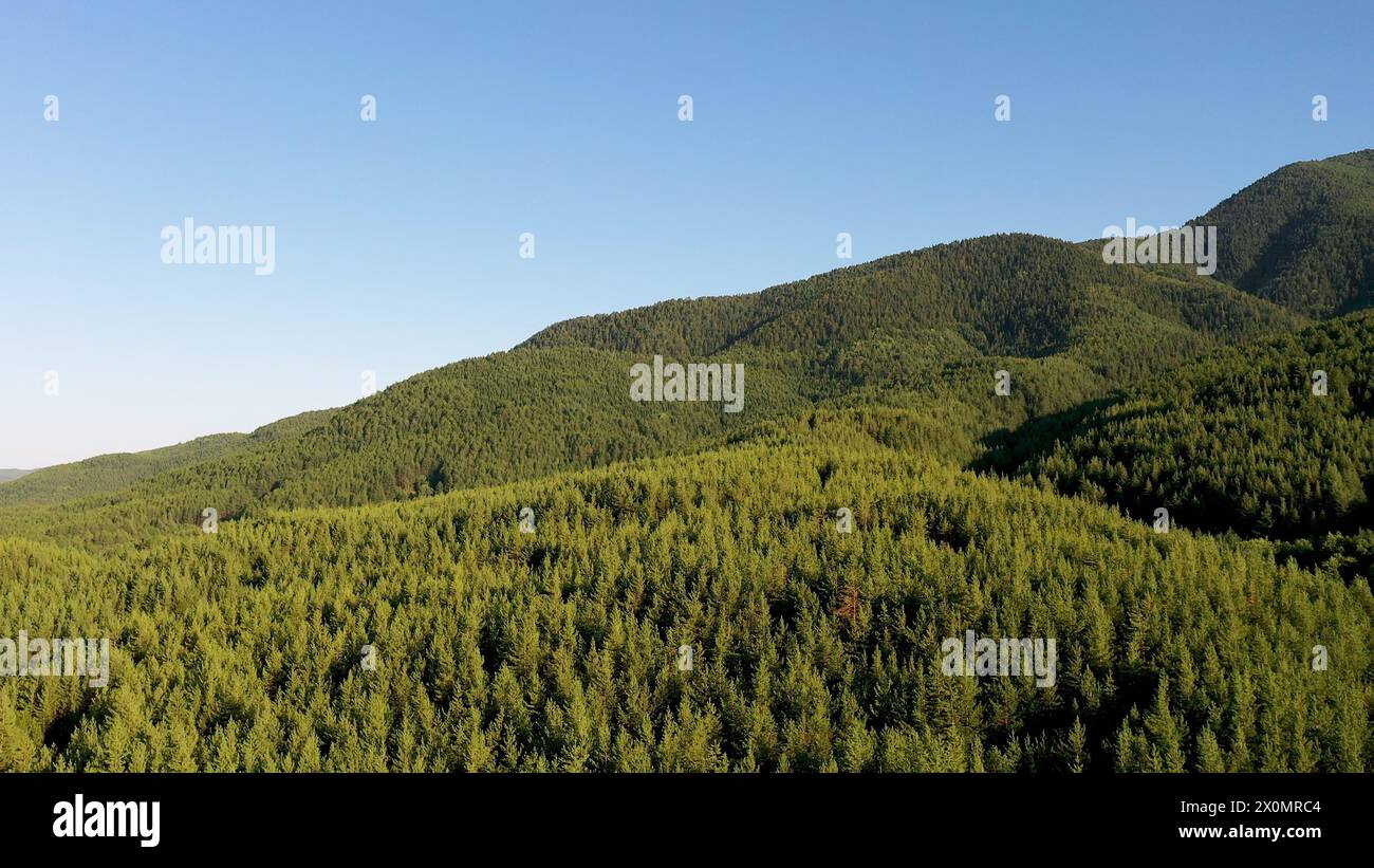 Aerial drone flight forward green hi-res stock photography and images ...