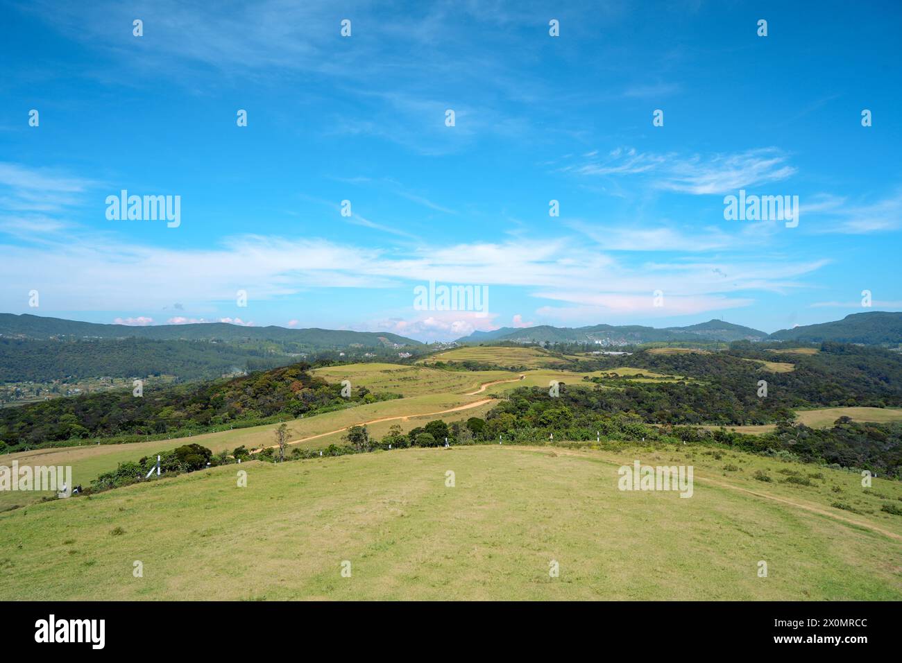 Blue sky view of Moon Plains Sri Lanka Nuwara Eliya Sri lanka Stock ...