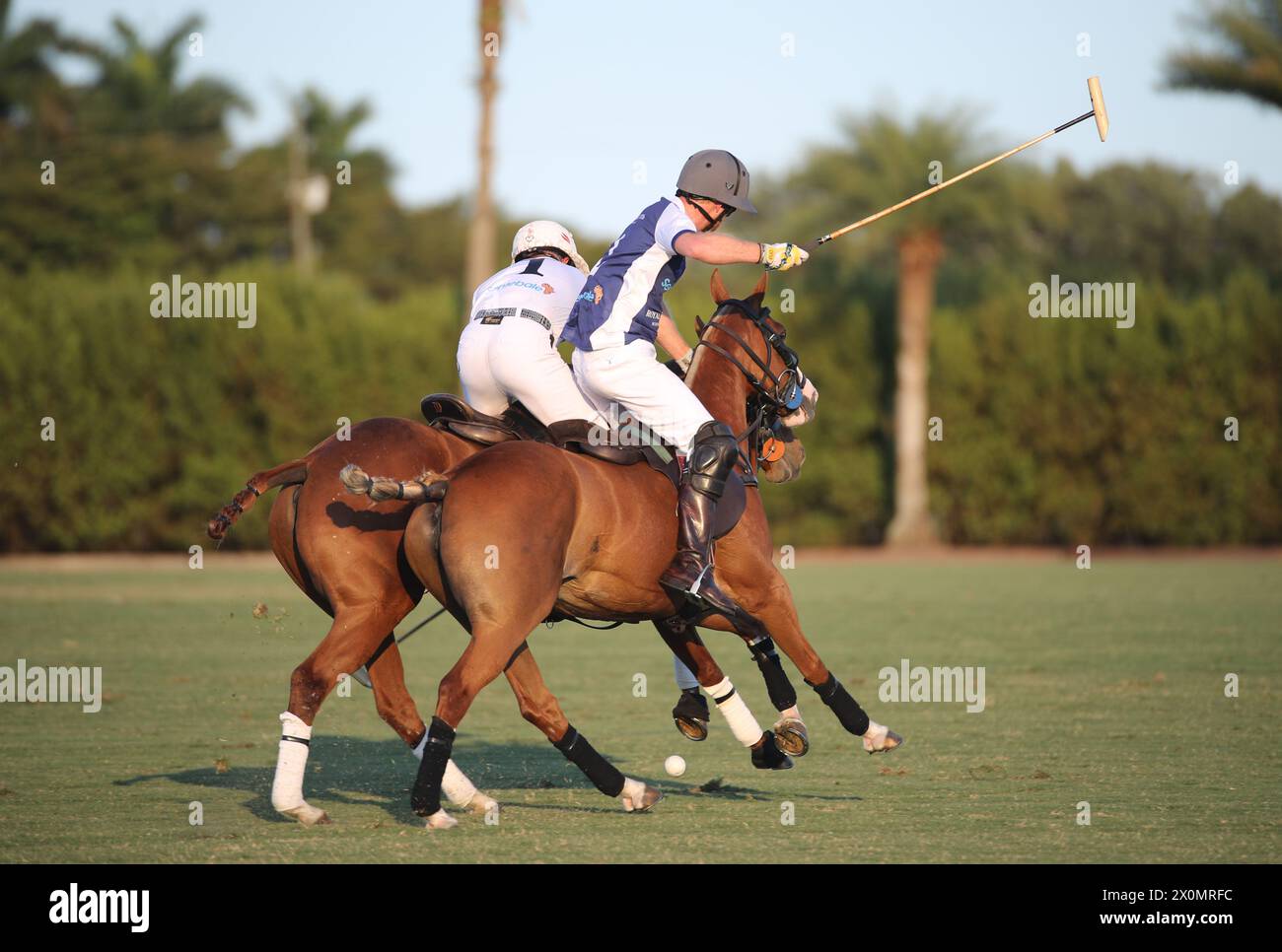 The Duke of Sussex plays in a polo match during the Royal Salute Polo Challenge, to benefit ...