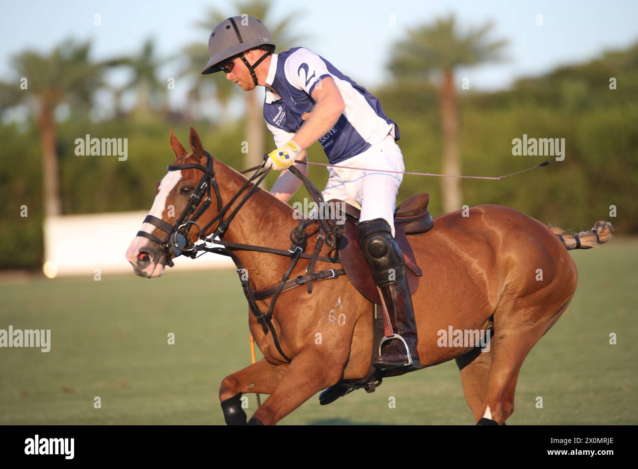 The Duke of Sussex plays in a polo match during the Royal Salute Polo Challenge, to benefit ...
