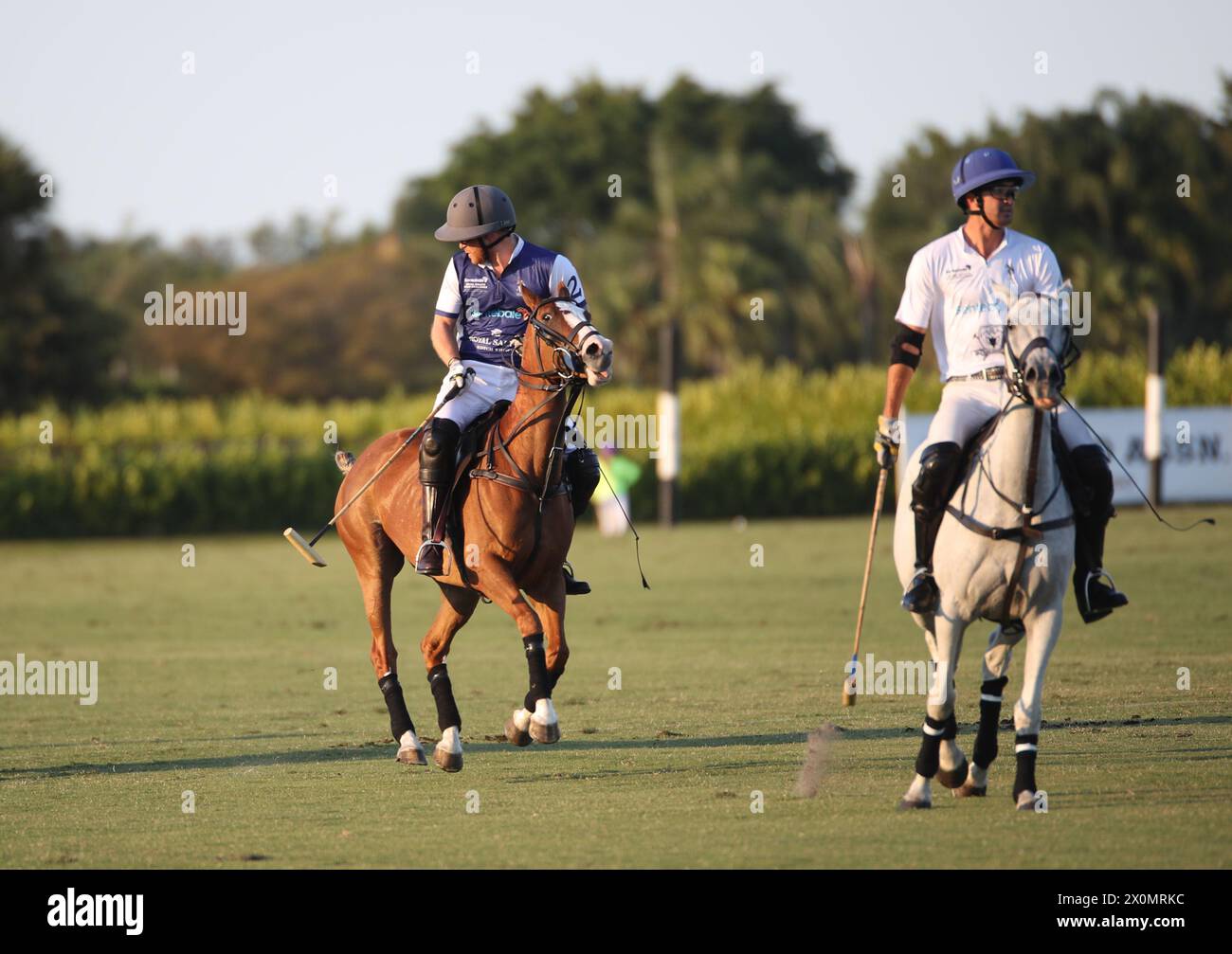 The Duke of Sussex plays in a polo match during the Royal Salute Polo Challenge, to benefit ...