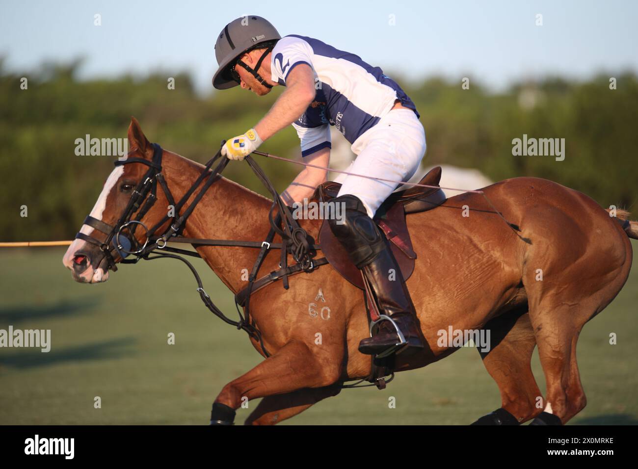 The Duke of Sussex plays in a polo match during the Royal Salute Polo Challenge, to benefit ...