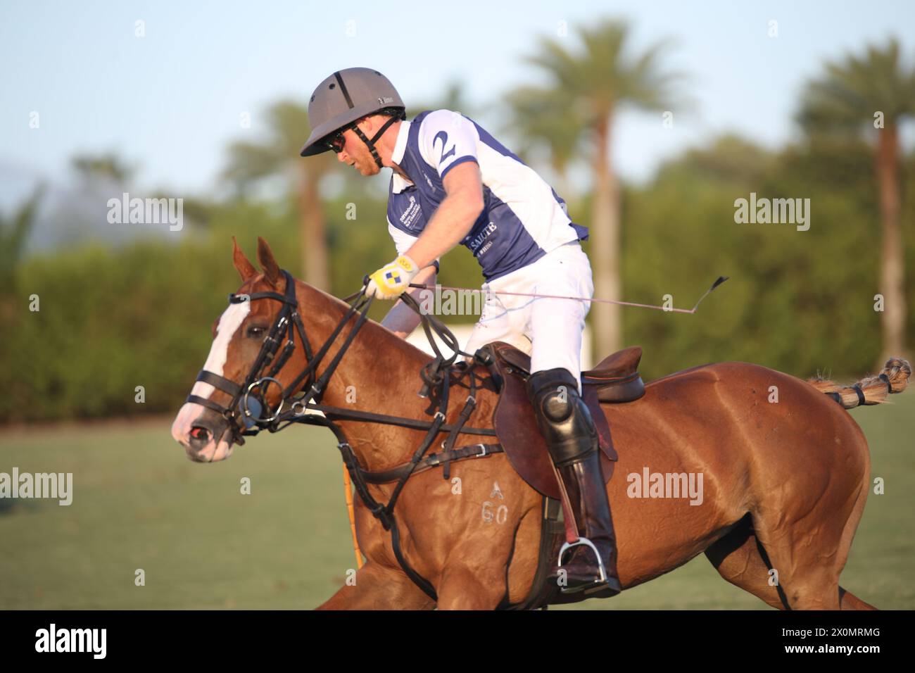 The Duke of Sussex plays in a polo match during the Royal Salute Polo ...