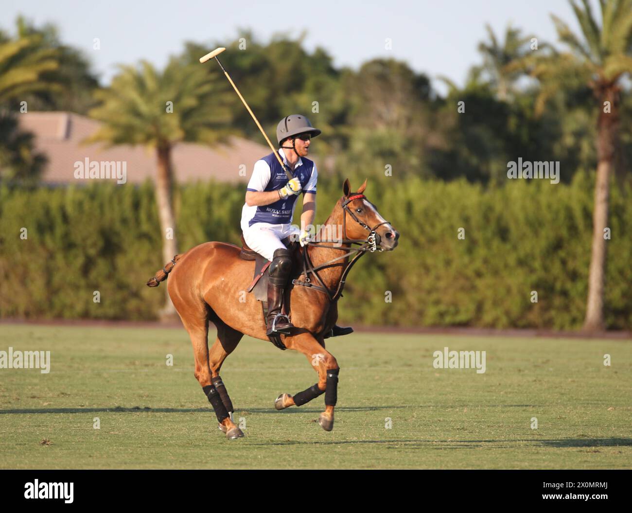 The Duke of Sussex plays in a polo match during the Royal Salute Polo Challenge, to benefit ...