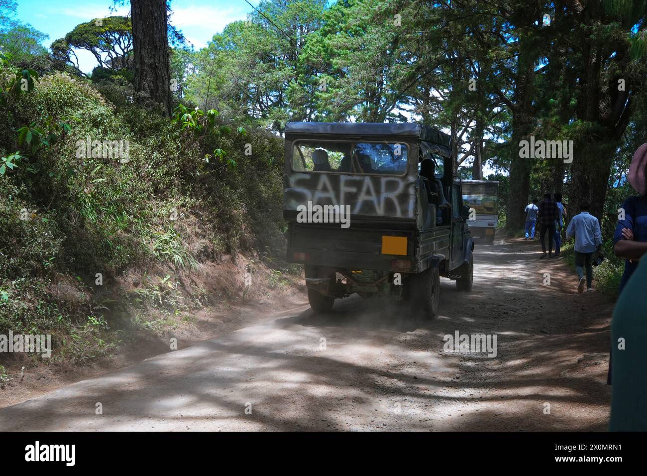 back said of safari jeep with tourist of Moon Plains Sri Lanka Nuwara ...