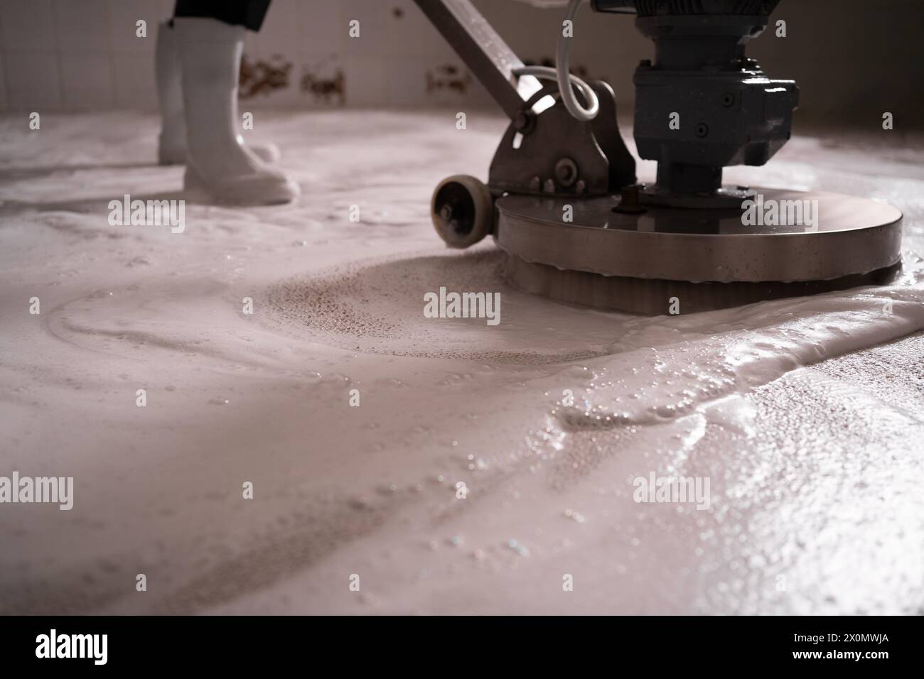 Worker cleaning vacuum cleaner carpets, washing carpet with disk ...