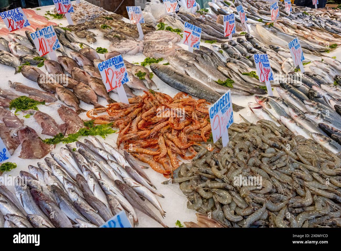 Fresh prawns and more fish and seafood for sale at a market in Naples ...
