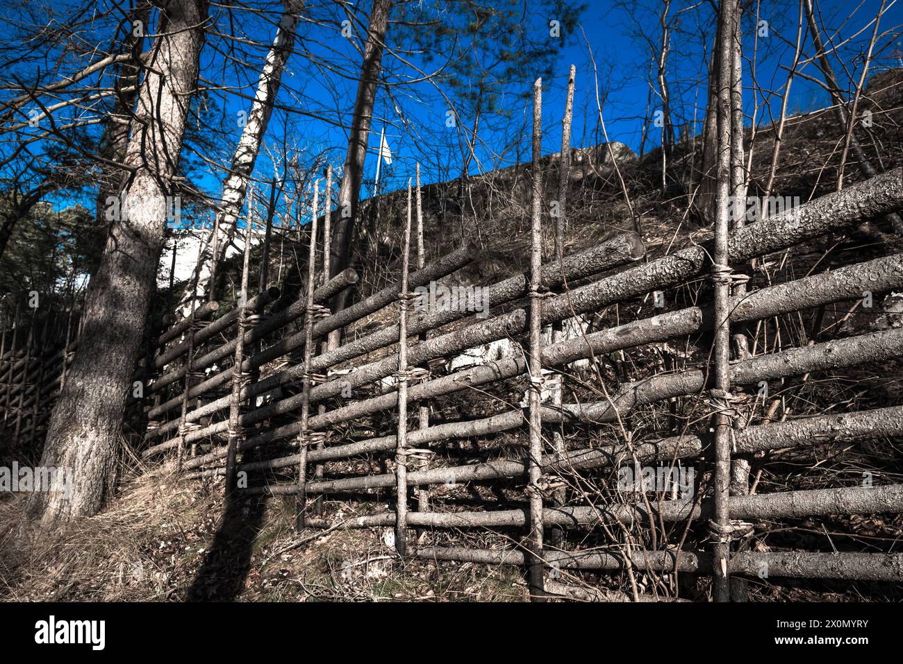 Wooden fence, assembled from flexible branches in sunset Stock Photo ...