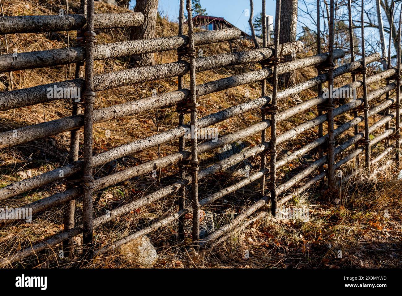 Fence made from tree branches hi-res stock photography and images - Alamy