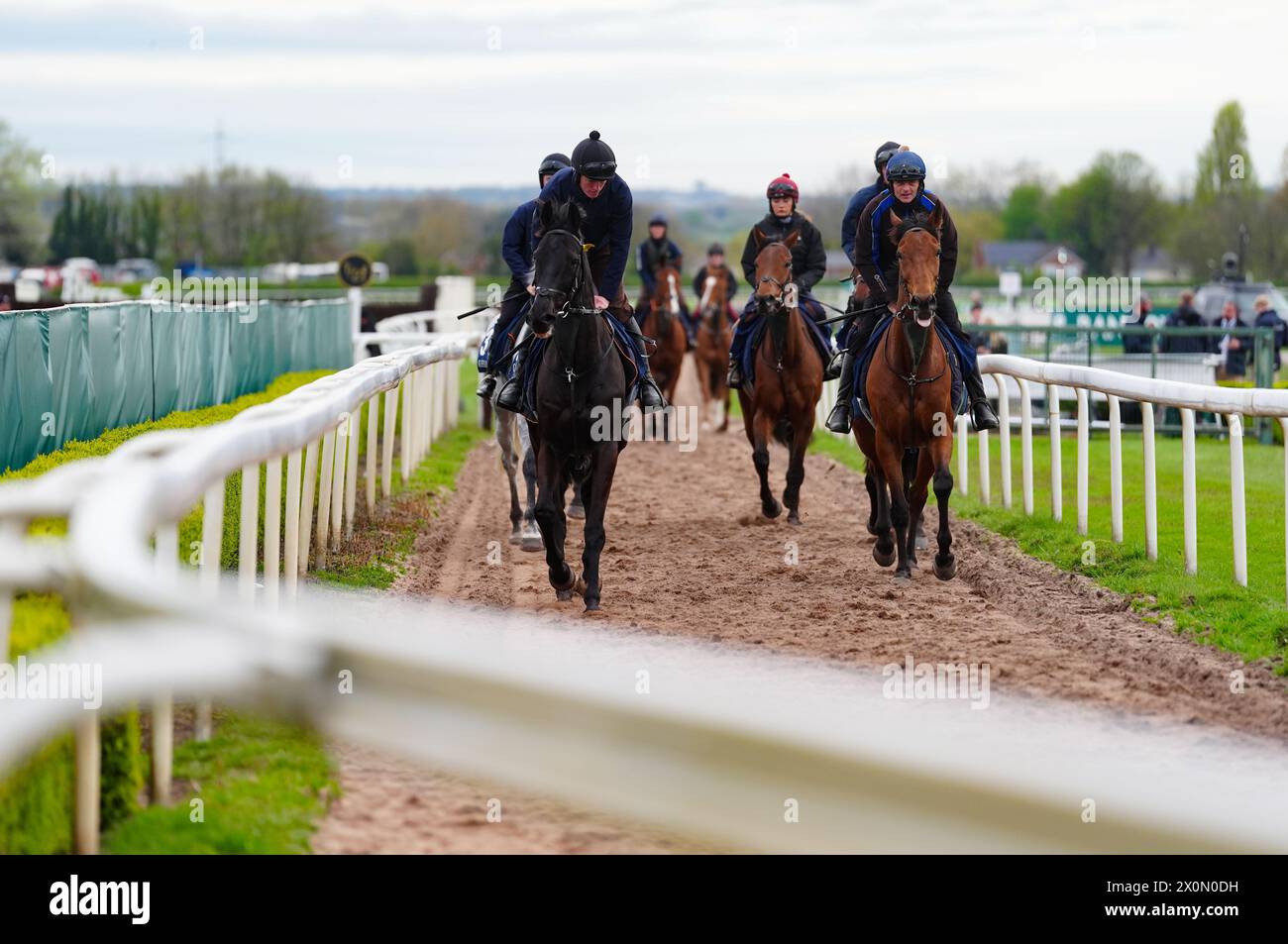 Horses from Gordon Elliott's stable on the gallops ahead of day three ...