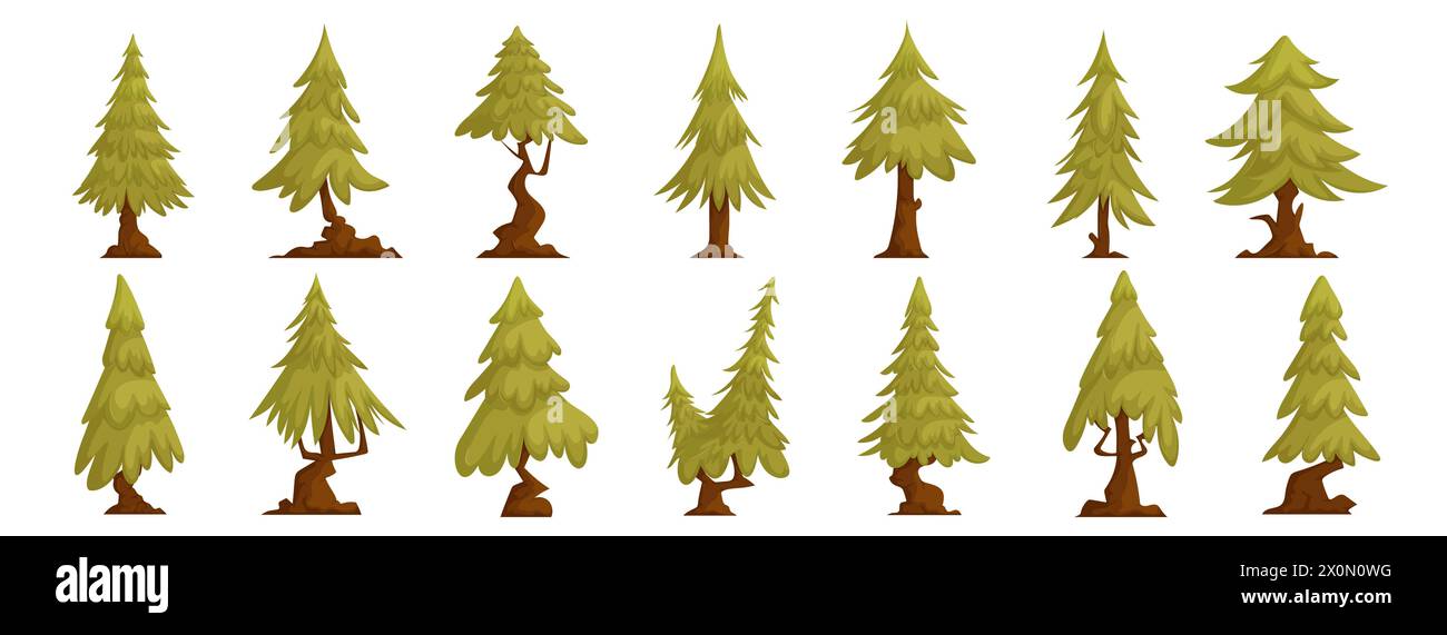Set of forest trees pine, green tall spruce, European spruce, evergreen ...