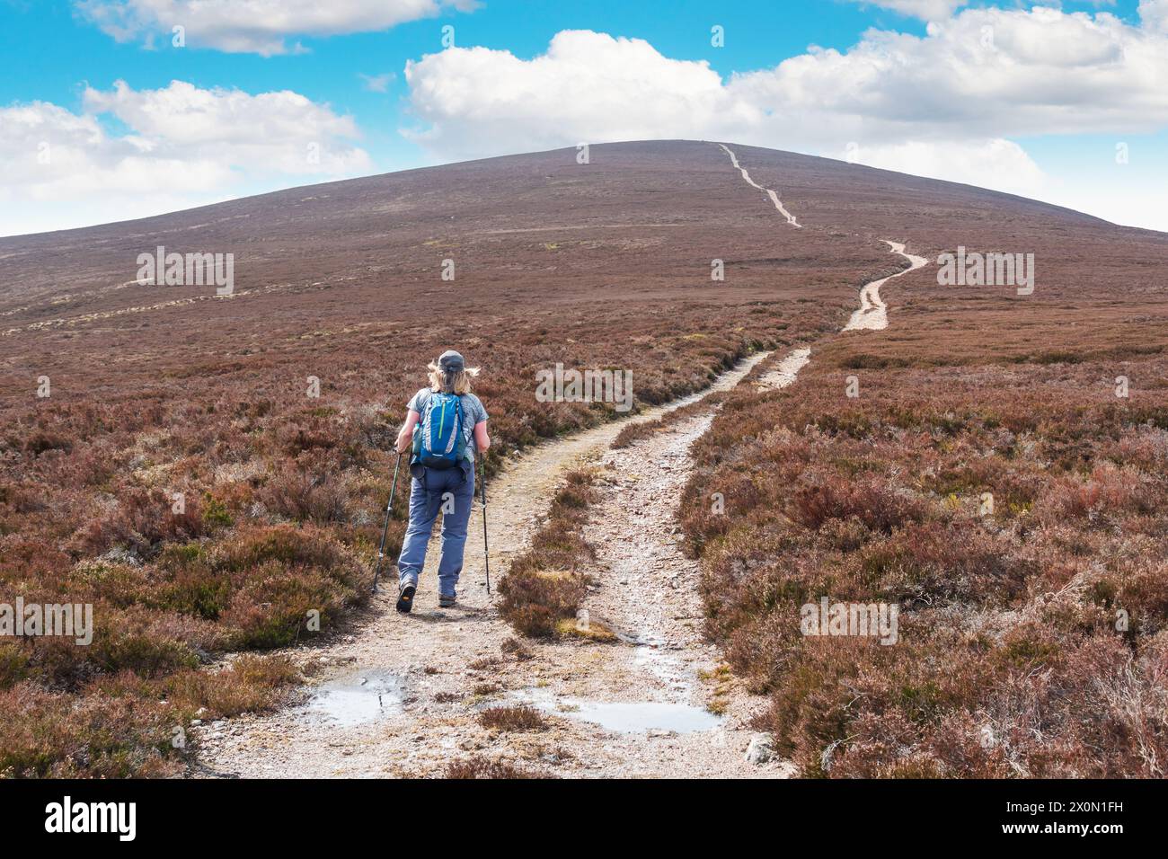 Peter walker hi-res stock photography and images - Alamy