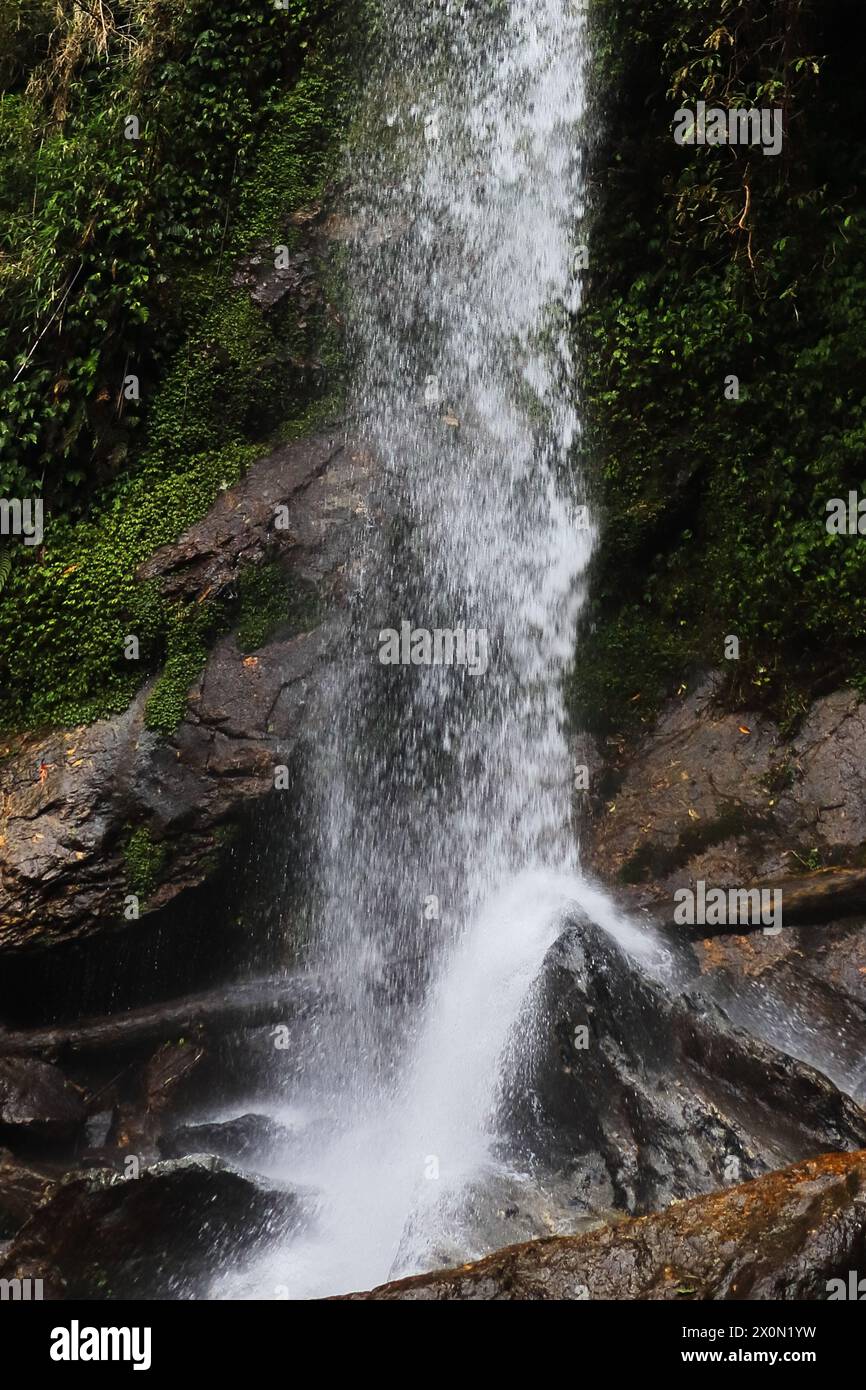 scenic view of waterfalls in north sikkim, himalayan mountain stream ...