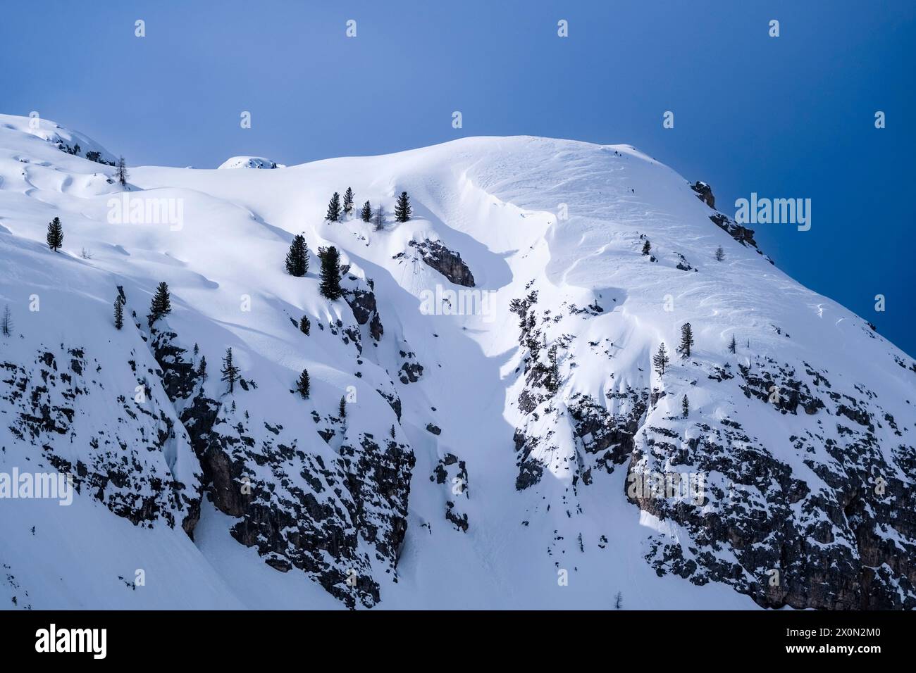 Snow-covered slopes of alpine Dolomite landscape with some trees in Tre ...