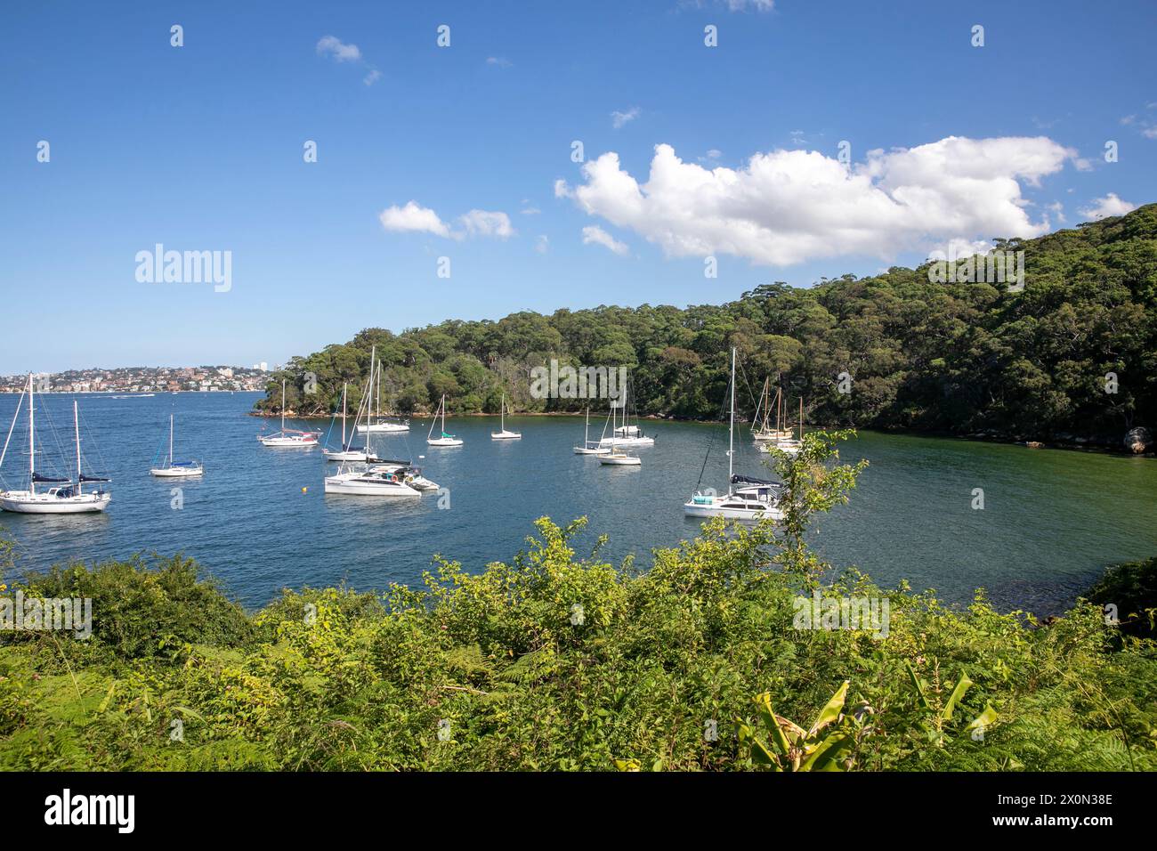 Bondi to manly hi-res stock photography and images - Alamy