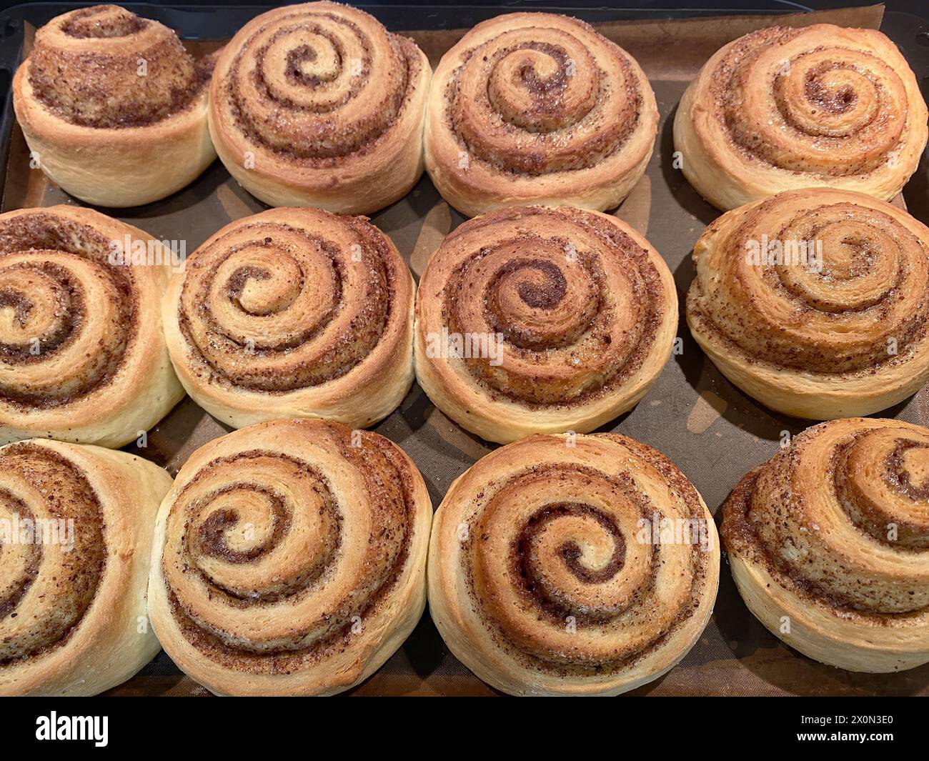 preparing homemade round cinnamon scrolls with sugar crystals in a ...