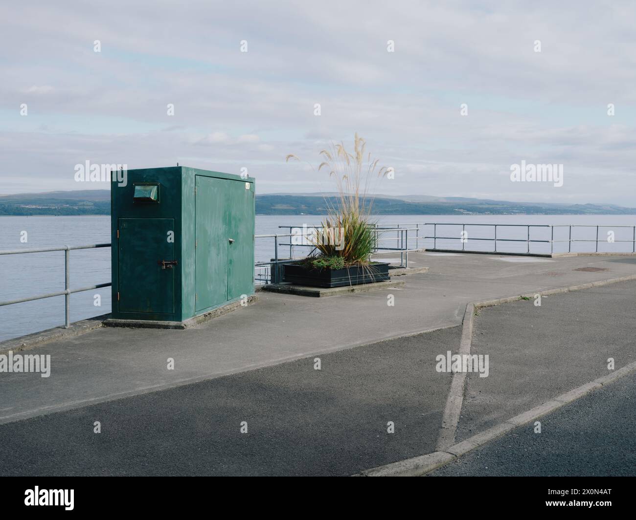 A strange combination of a green electrical meter box and Pampas Grass ...