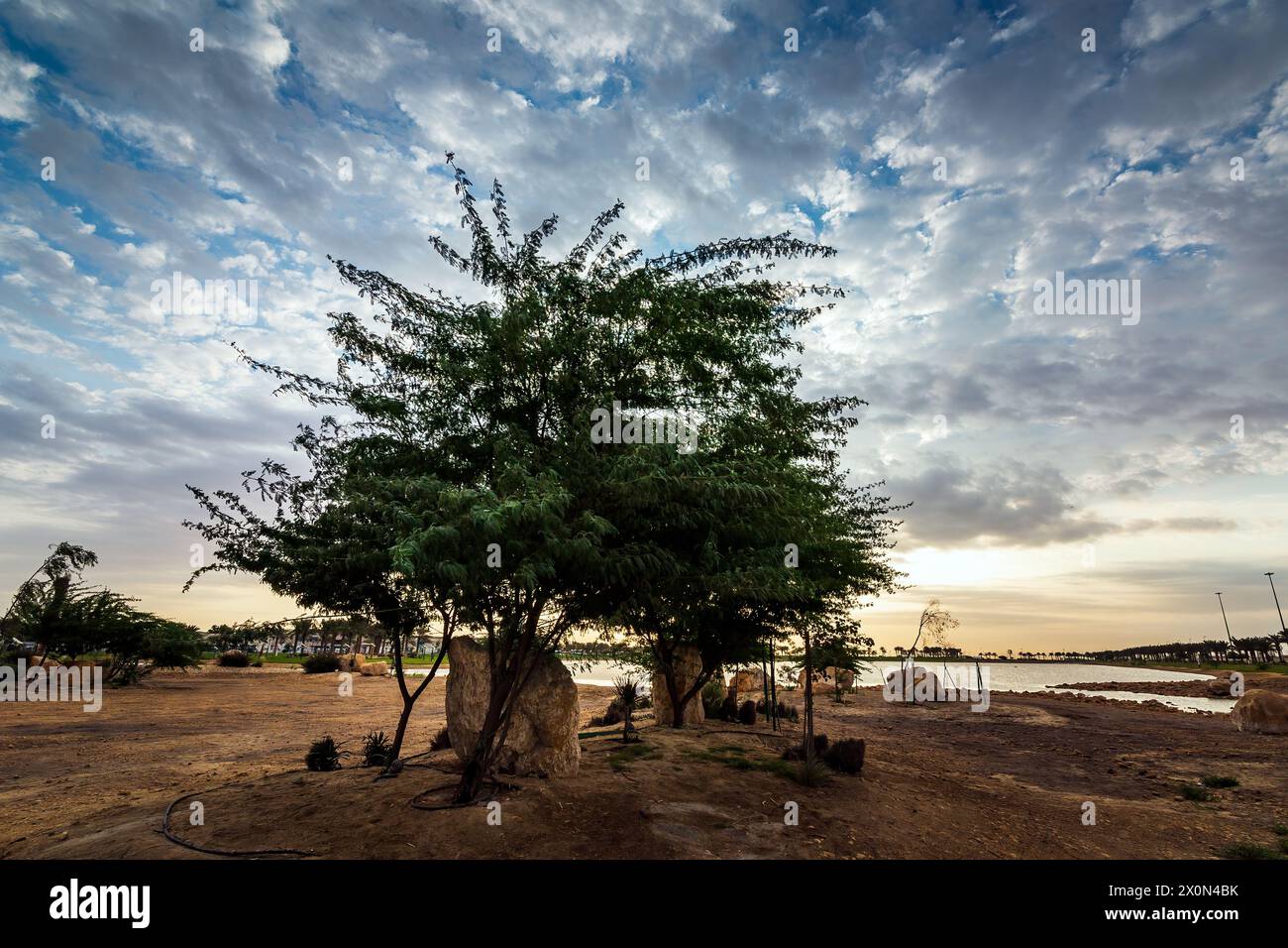 Beautiful coast in saudi arabia hi-res stock photography and images - Alamy