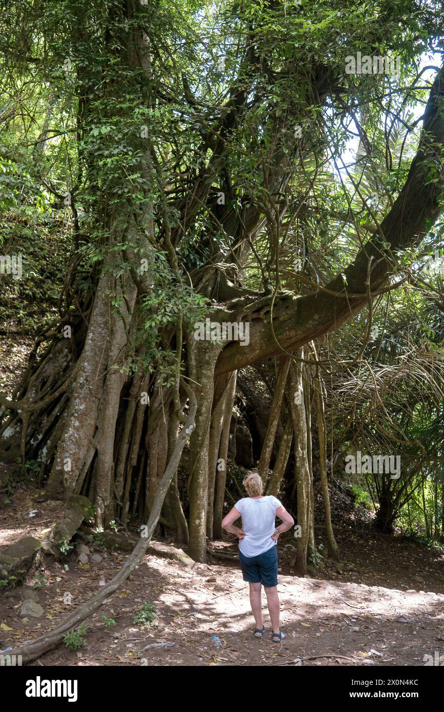 Trunyan village basket burial site on Lake Batur. A unique site in the ...