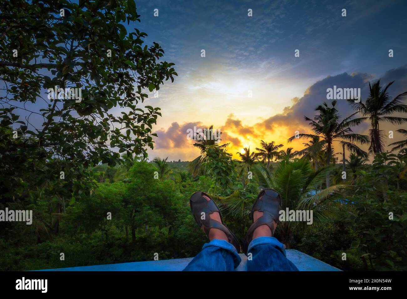 View the greenery of nature while relaxing, sitting, and showing the ...